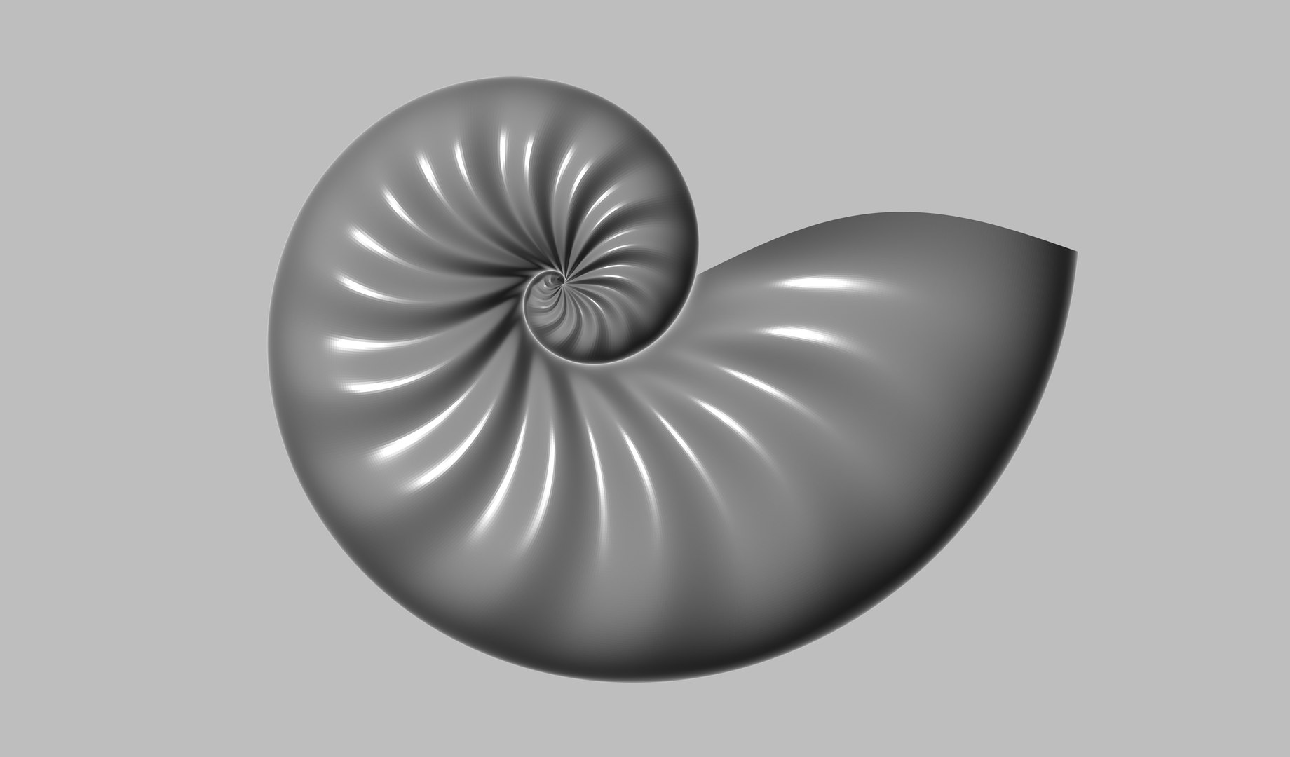 3D Parametric Seashell Model - TurboSquid 1818569