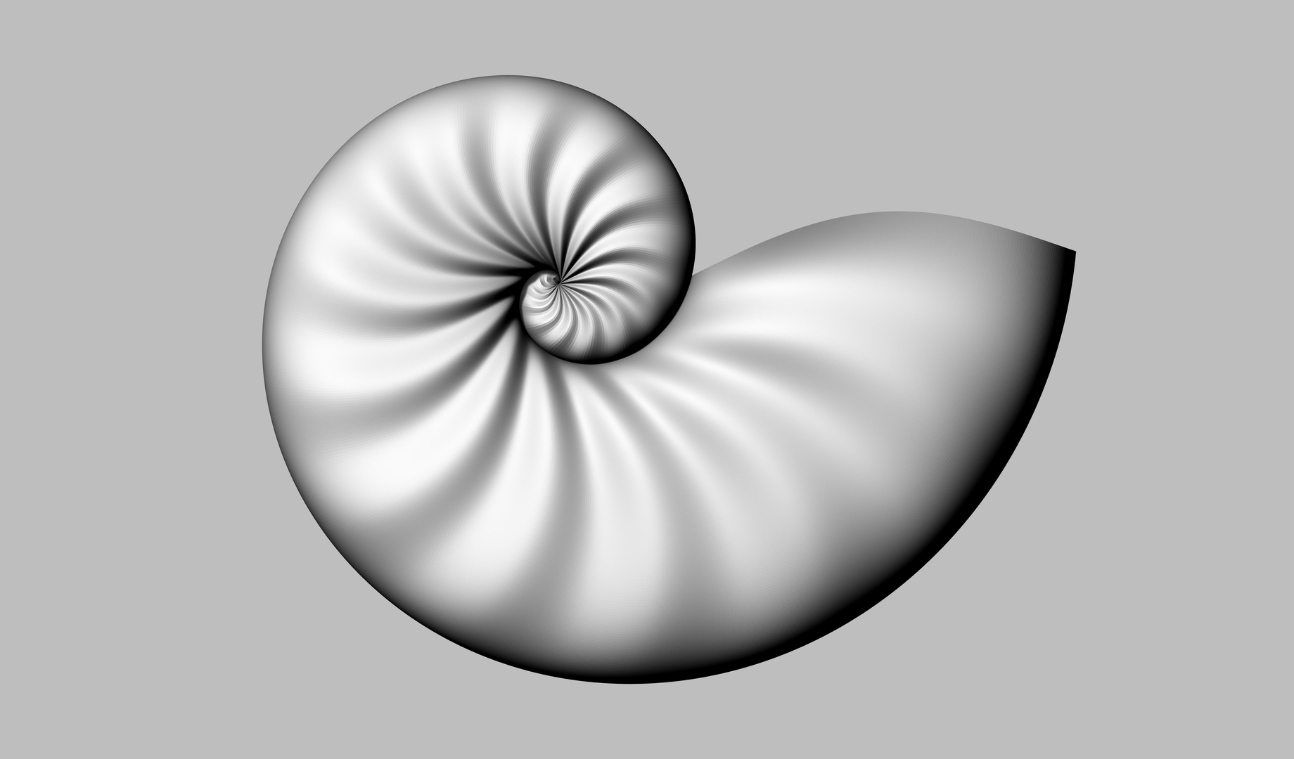 modèle 3D de Spirale de coquillage paramétrique - TurboSquid 1818569