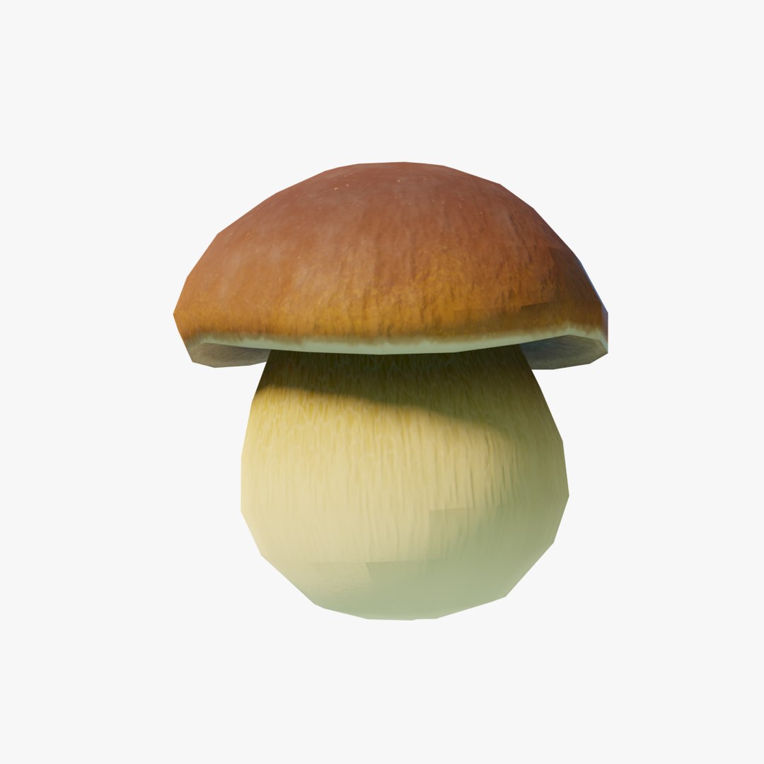 Cartoon Boletus 3D Model - TurboSquid 1728201