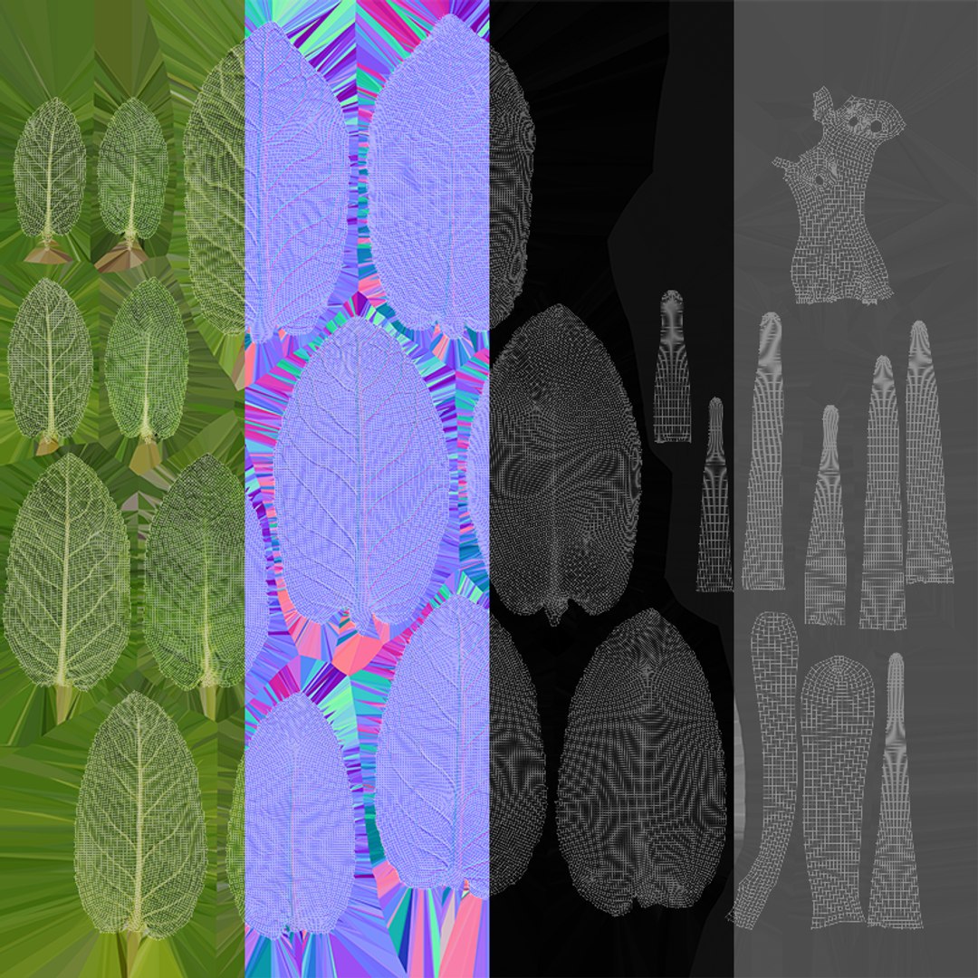 Mint 3D Model - TurboSquid 1888163