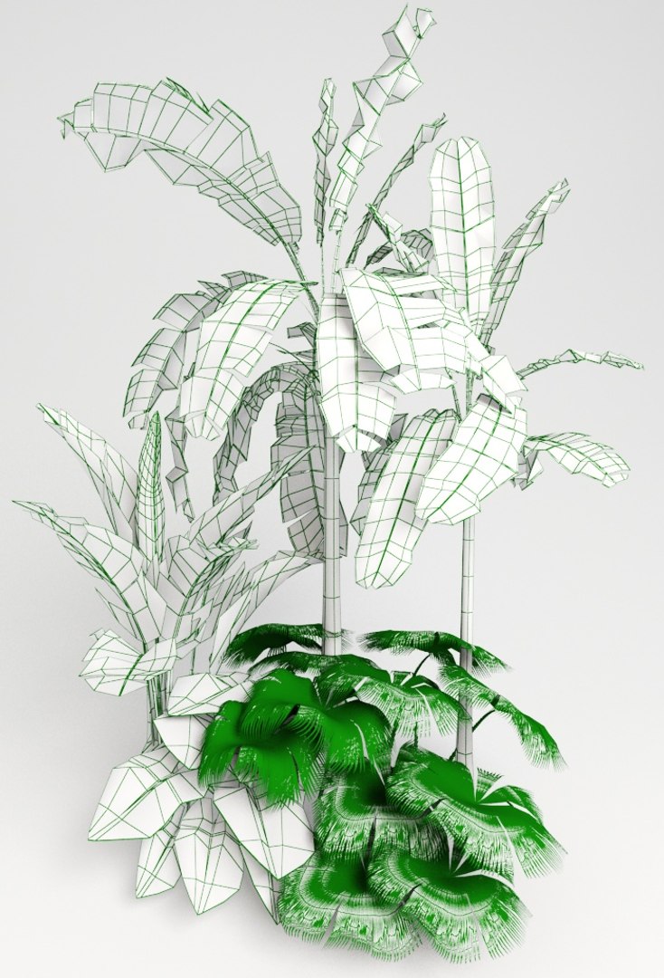 Tropical Plants 3D Model - TurboSquid 1323415