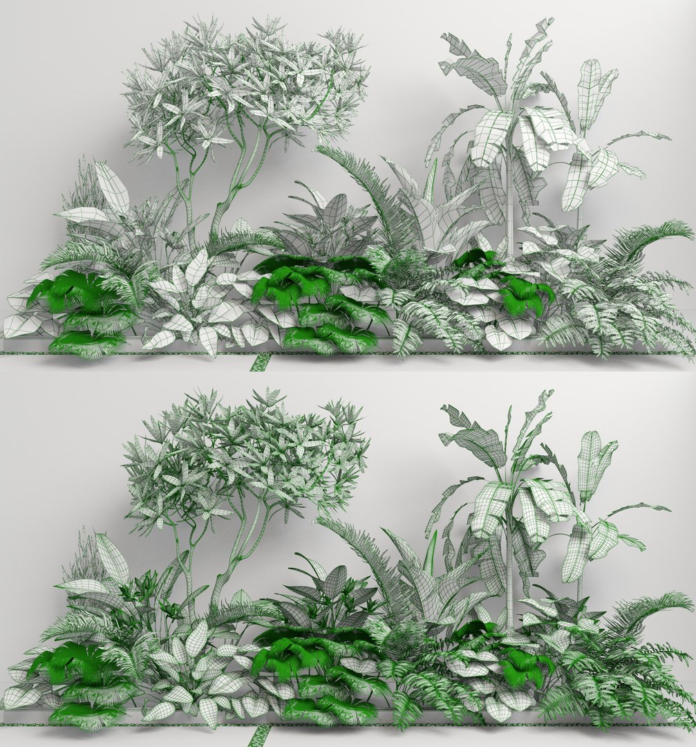 Tropical Plants 3D Model - TurboSquid 1323415