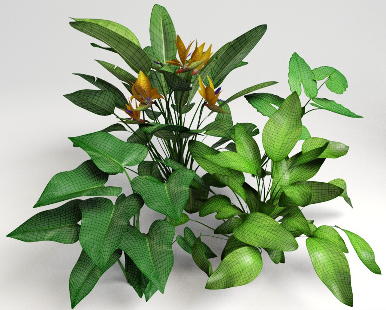 Tropical Plants 3D Model - TurboSquid 1323415