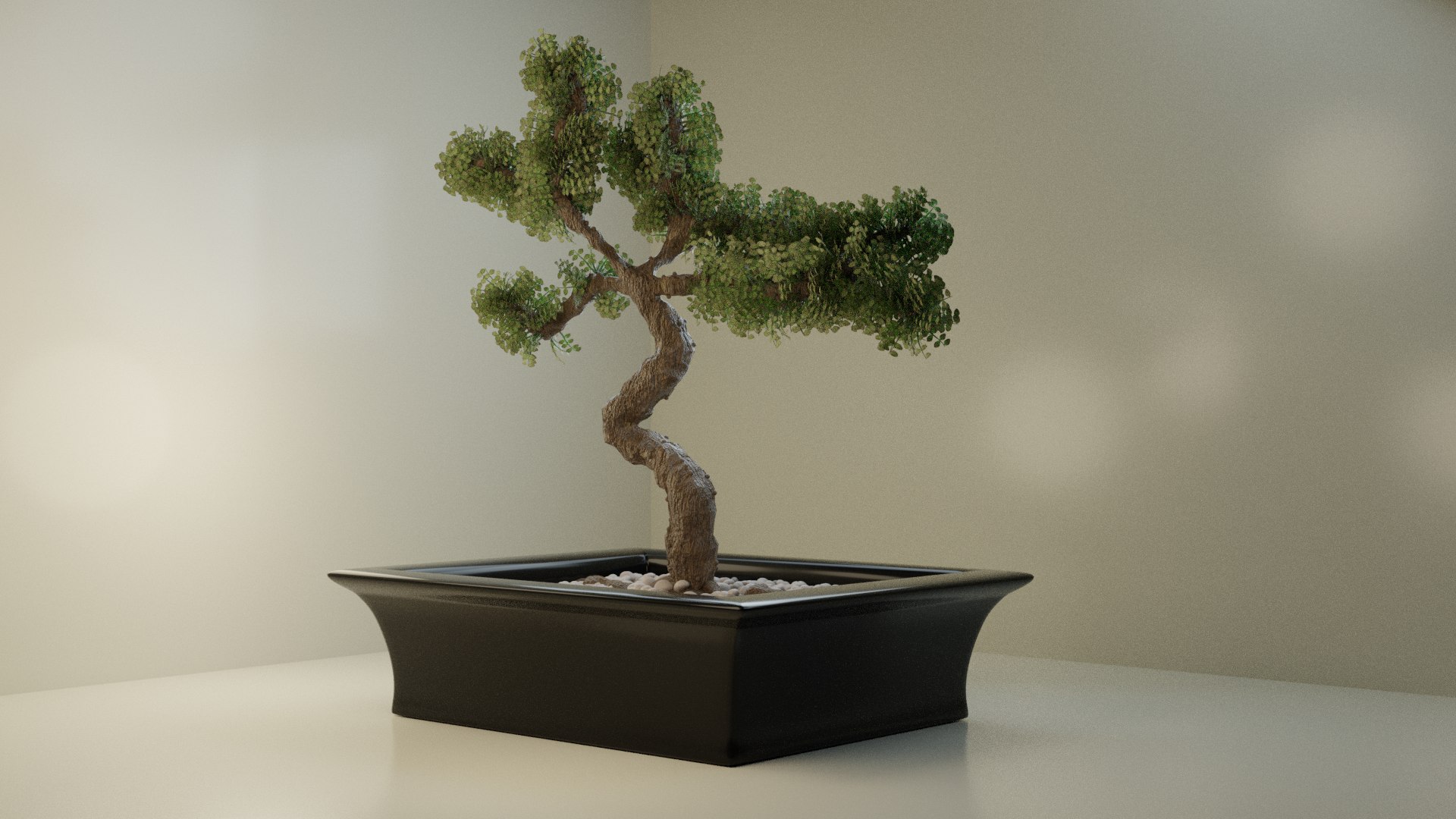 3D Model Bonsai Tree - TurboSquid 1851269