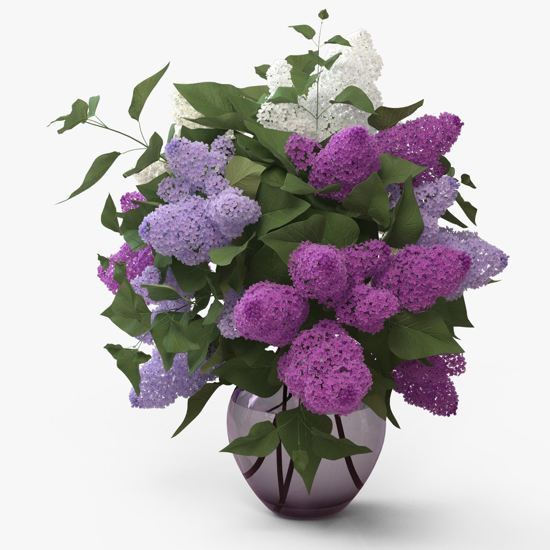 Vase Lilac 3d Model