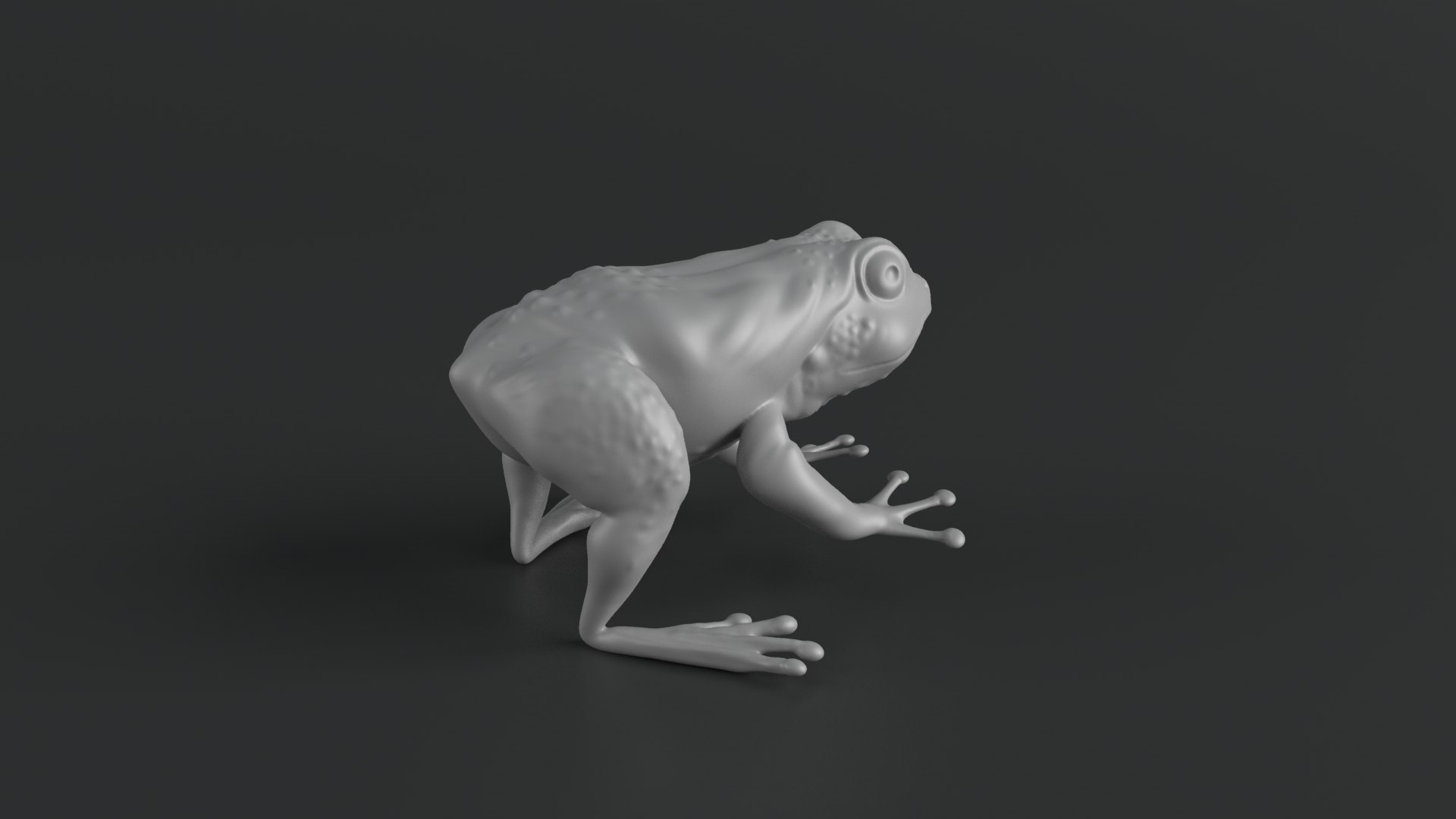 Frog 3D Model - TurboSquid 1949344