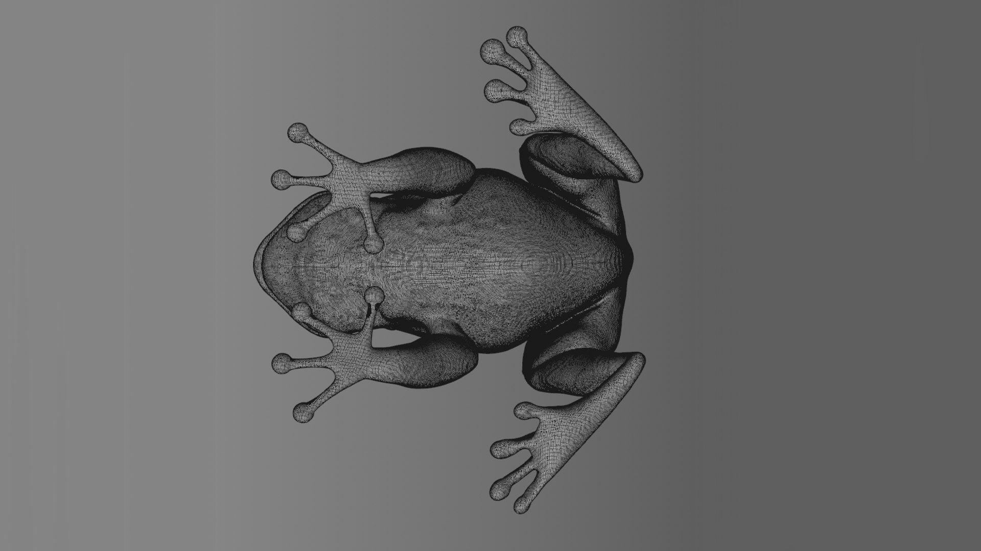 Frog 3D Model - TurboSquid 1949344