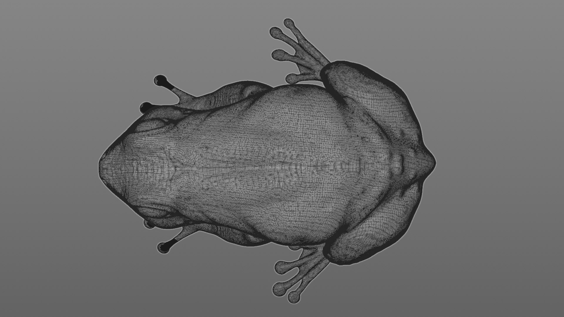 Frog 3D Model - TurboSquid 1949344
