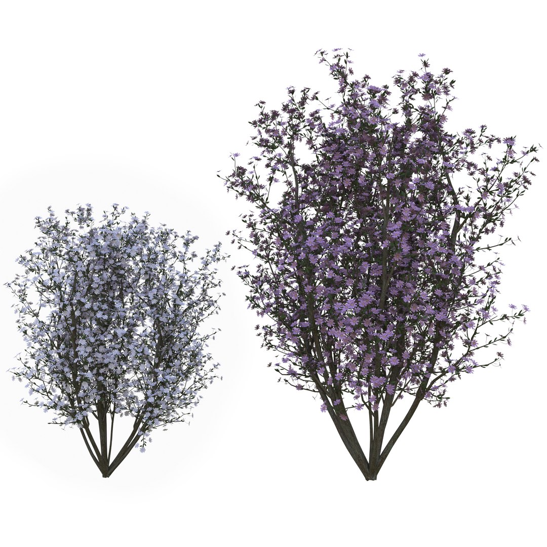 Spring-tree-vol01 3D model - TurboSquid 2095854