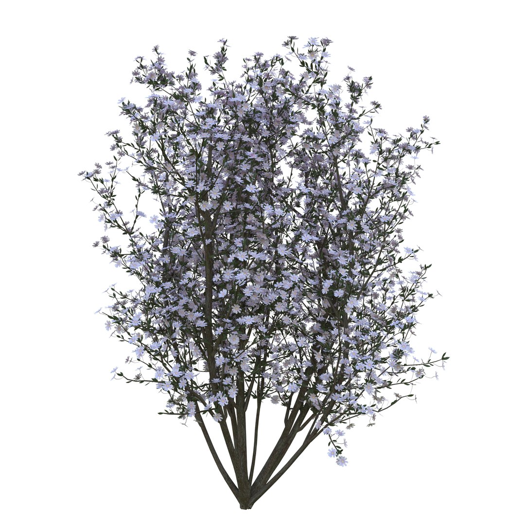 Spring-tree-vol01 3D model - TurboSquid 2095854