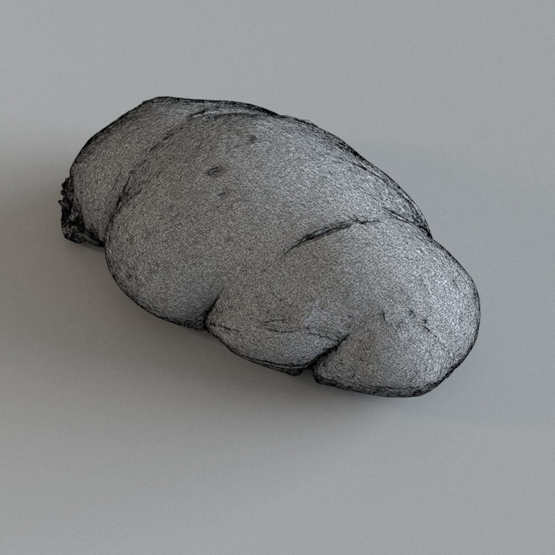 3d Model Food Bread Assets