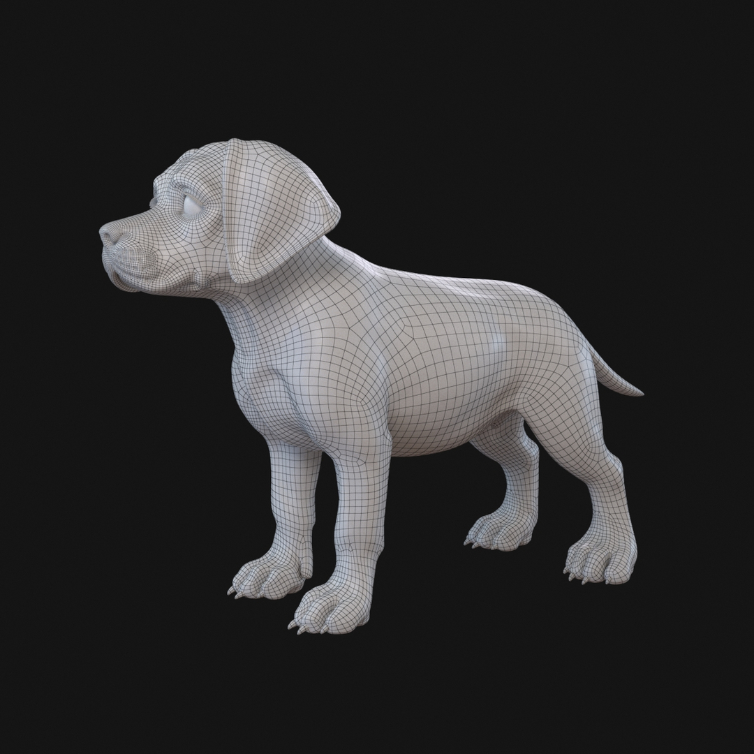 Labrador Puppy Stylized 3D model - TurboSquid 1720551