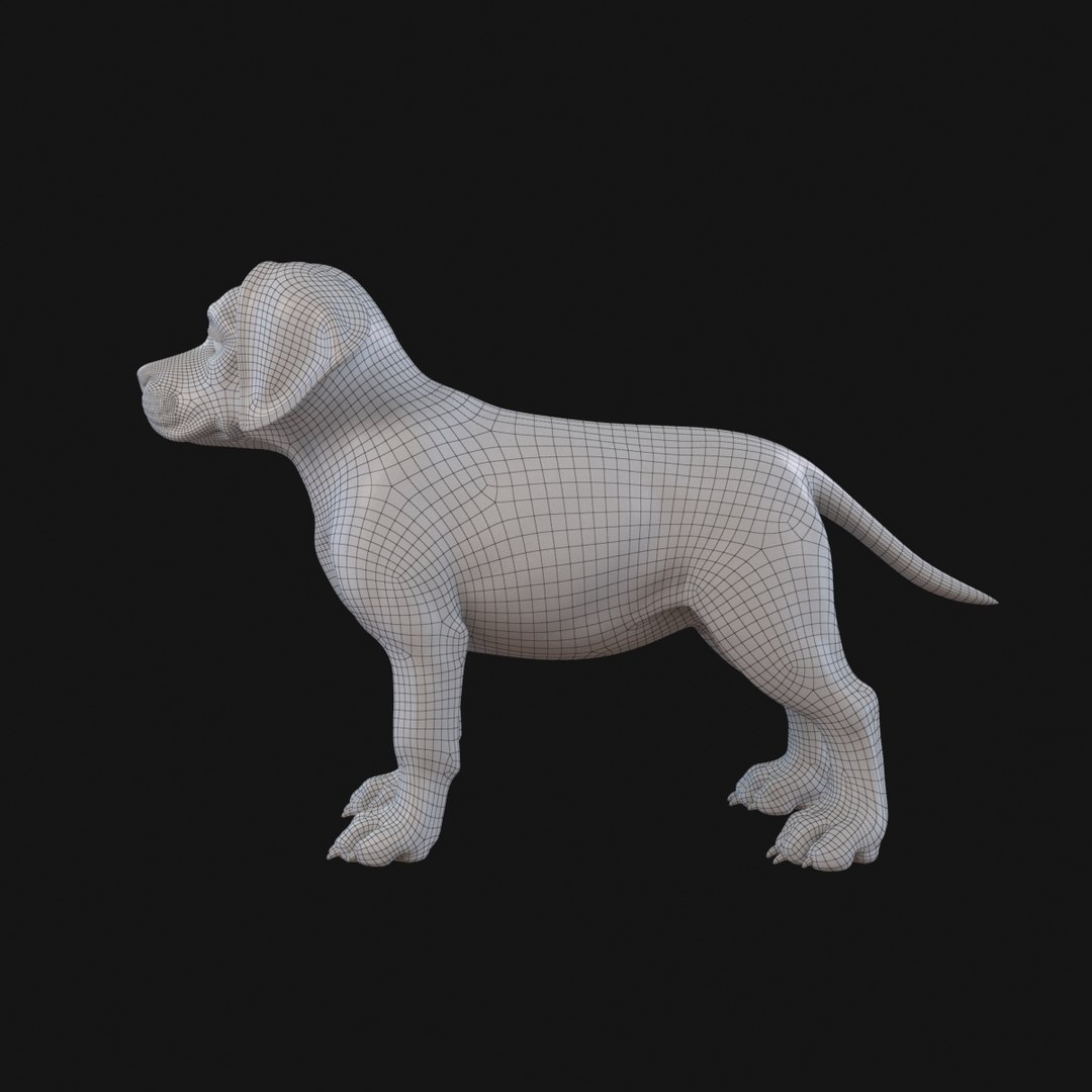 Labrador Puppy Stylized 3D Model - TurboSquid 1720551