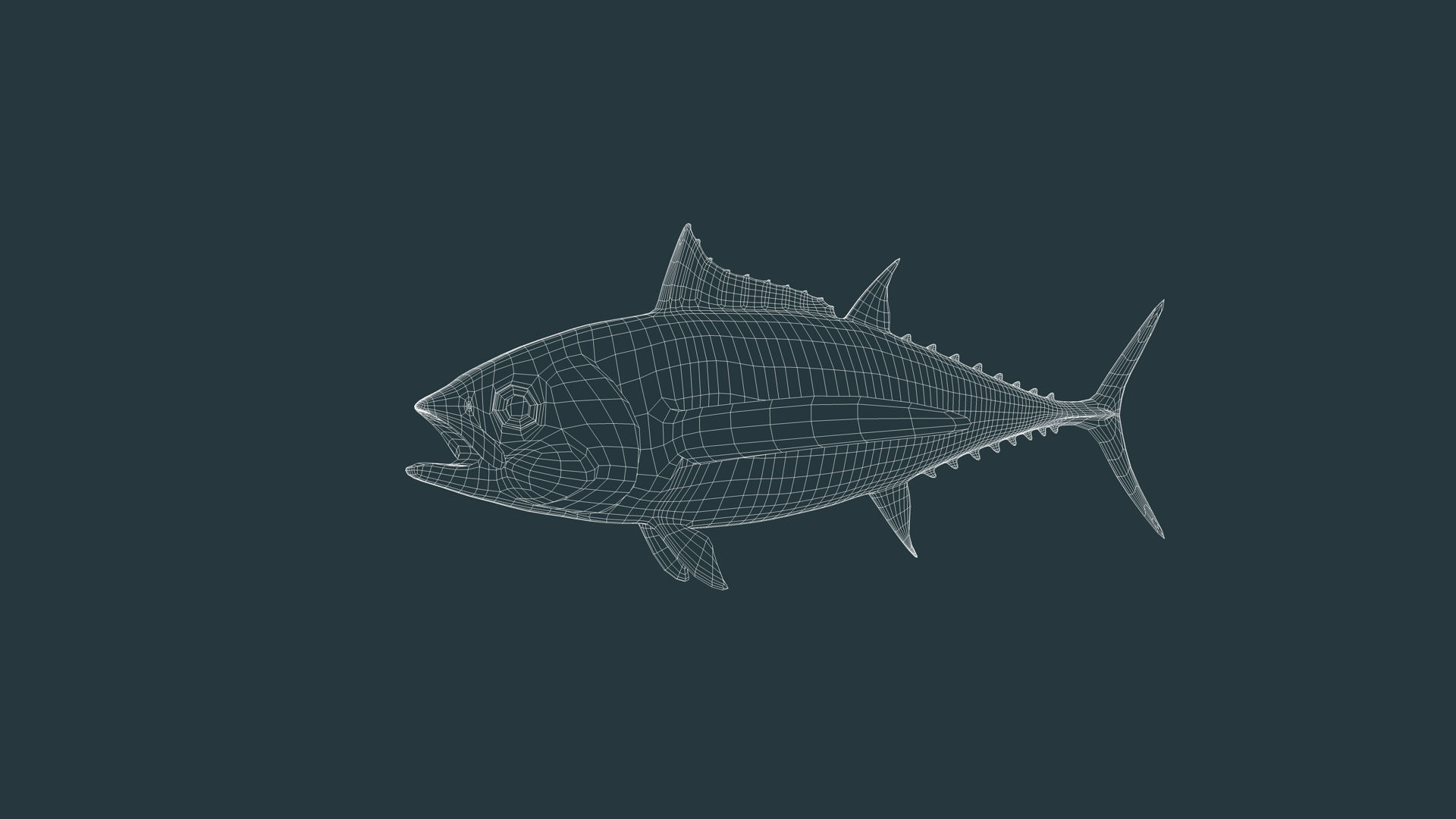 Realistic Tuna 3D Model - TurboSquid 1479317