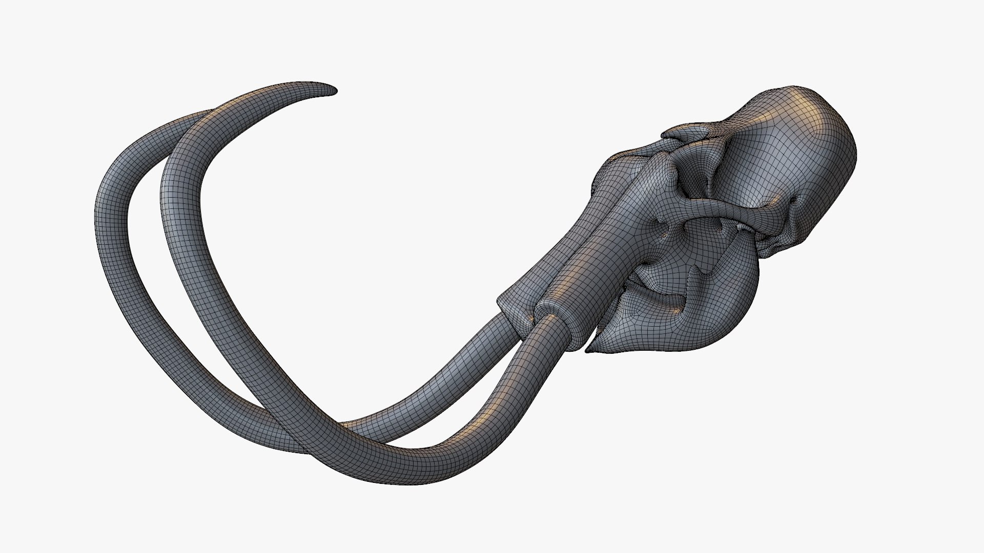 Mammoth Skull 3D - TurboSquid 2346445