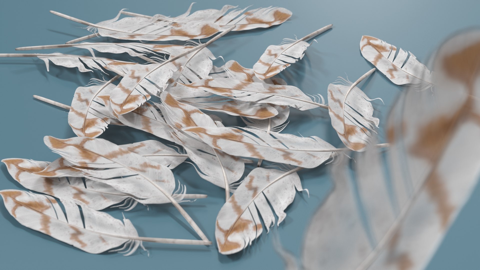 3D Pile Of Spotted Bird Feathers White - TurboSquid 2493949