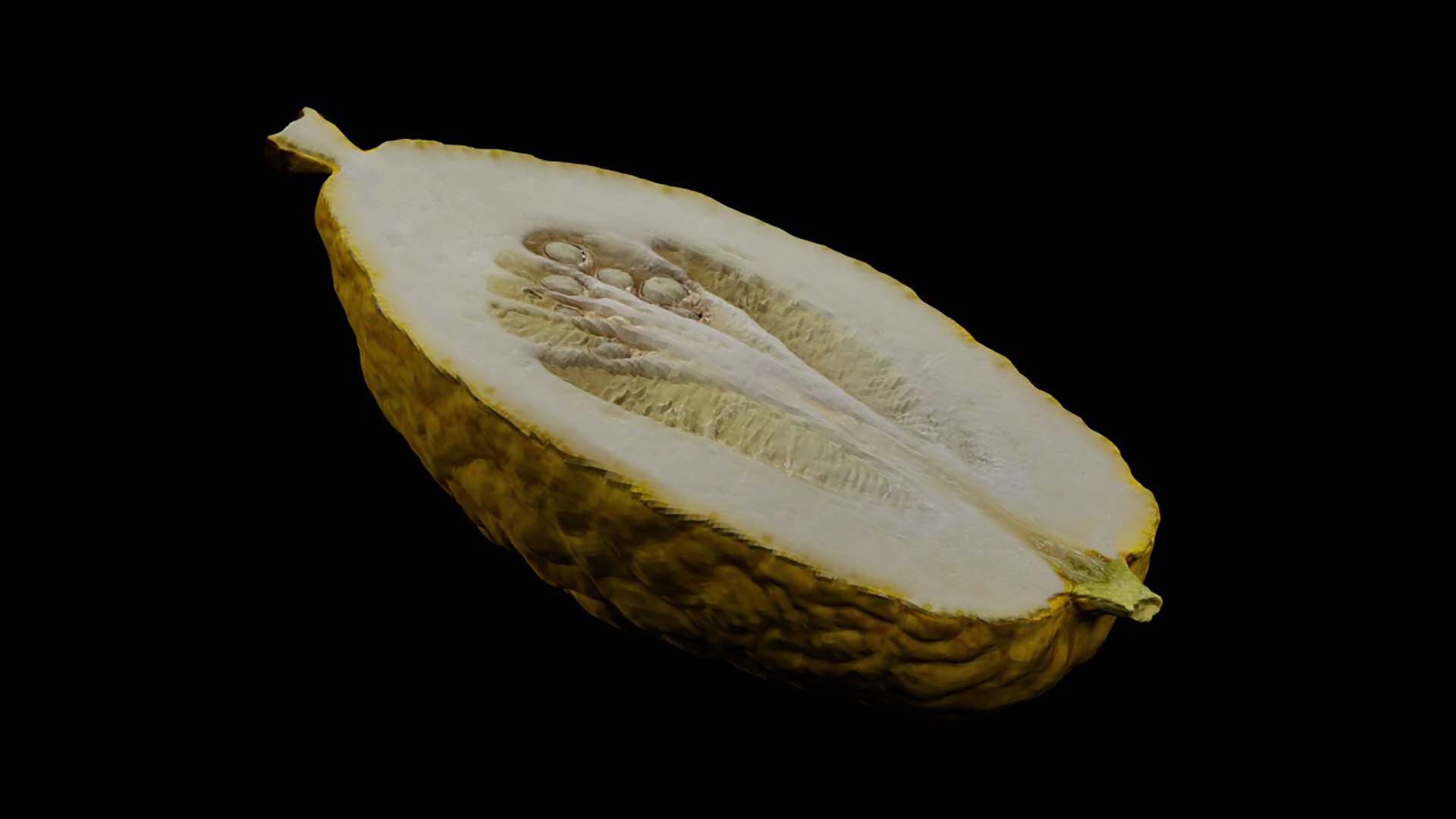 3D Etrog - Citrus Medica Model - TurboSquid 2077200