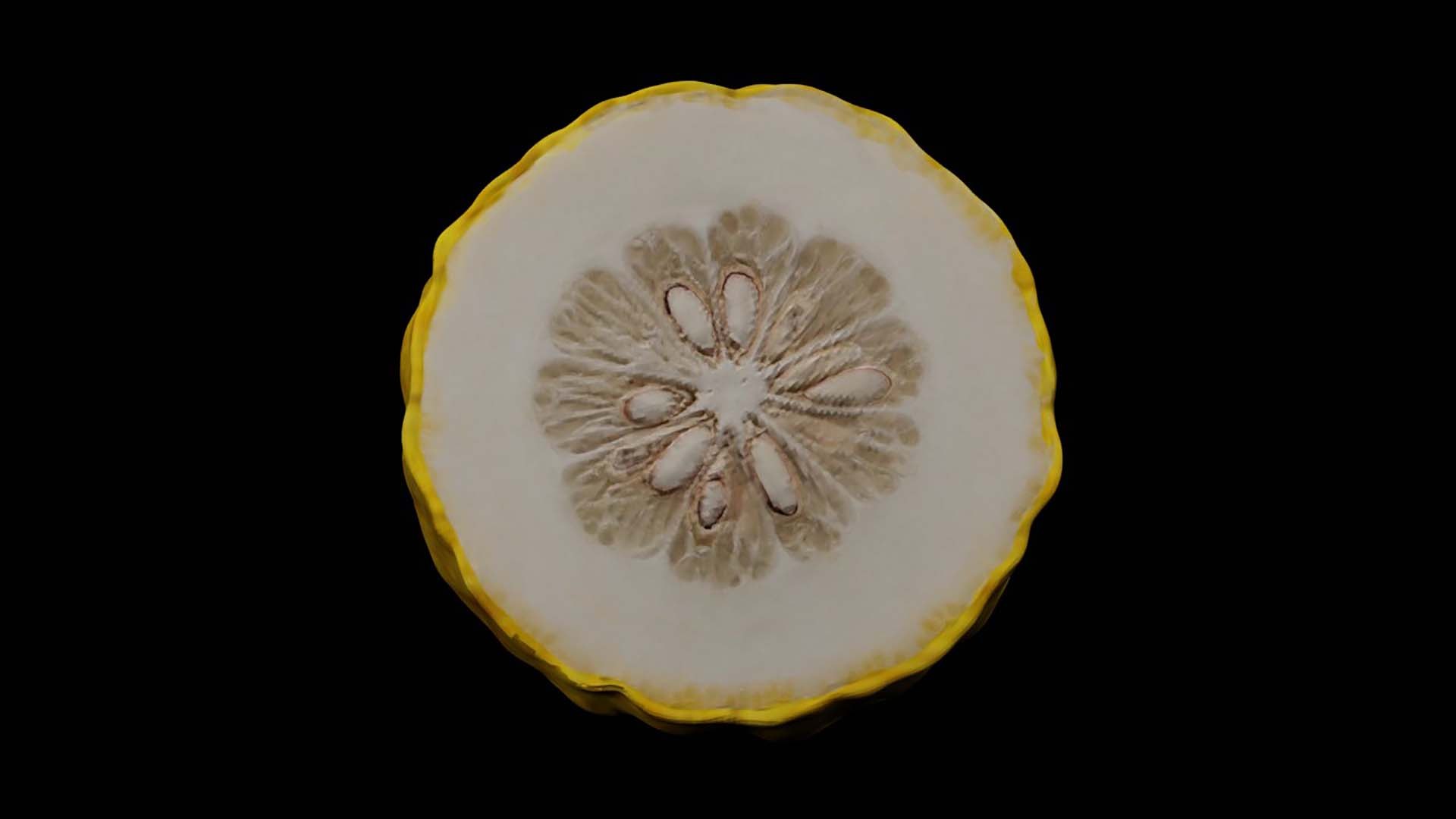 3D Etrog - Citrus Medica Model - TurboSquid 2077200