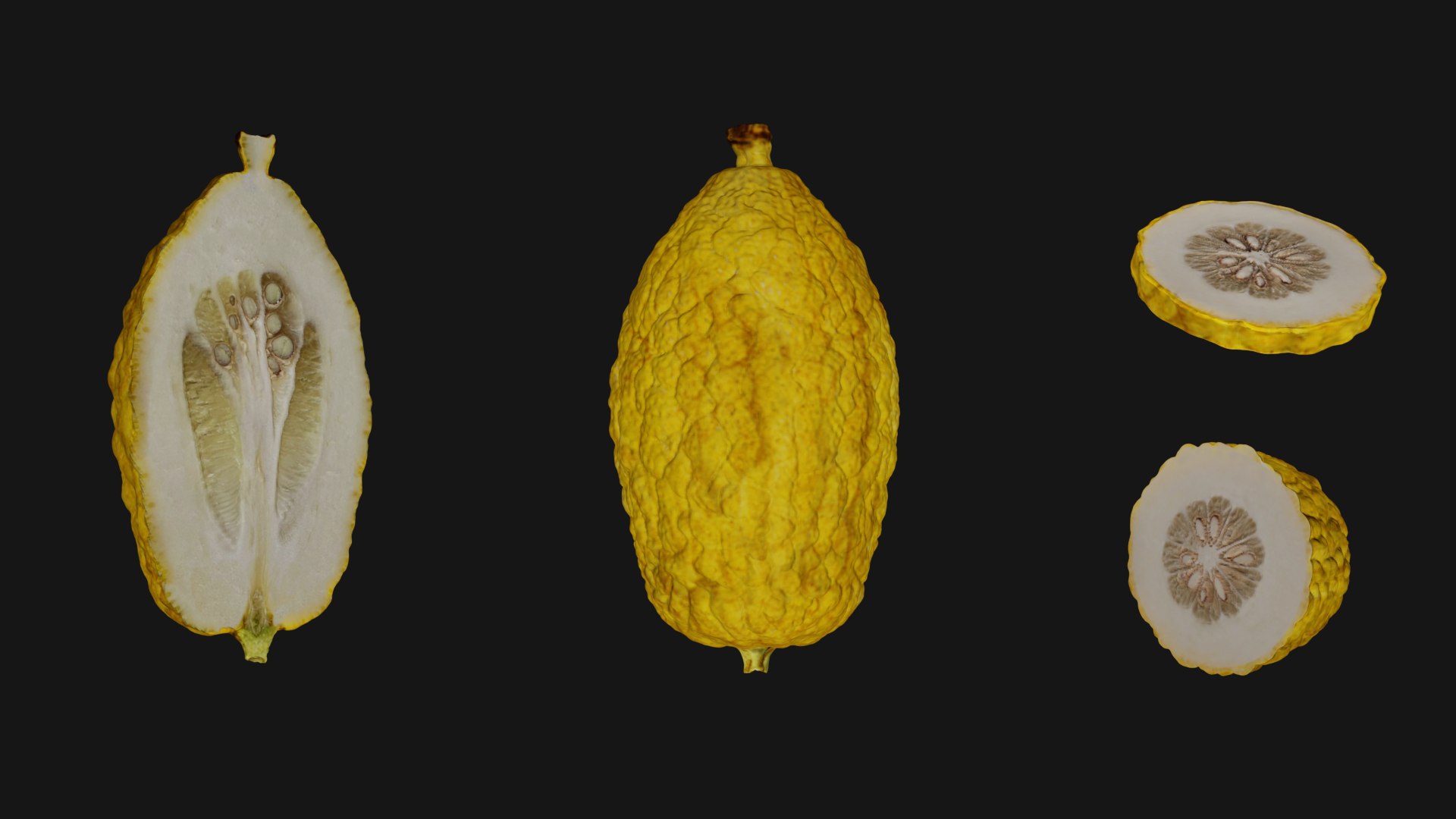 3D Etrog - Citrus Medica Model - TurboSquid 2077200