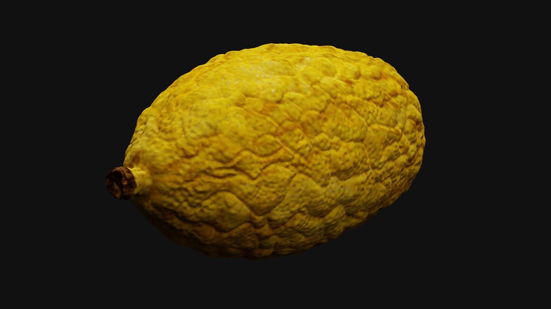 3D Etrog - Citrus Medica Model - TurboSquid 2077200