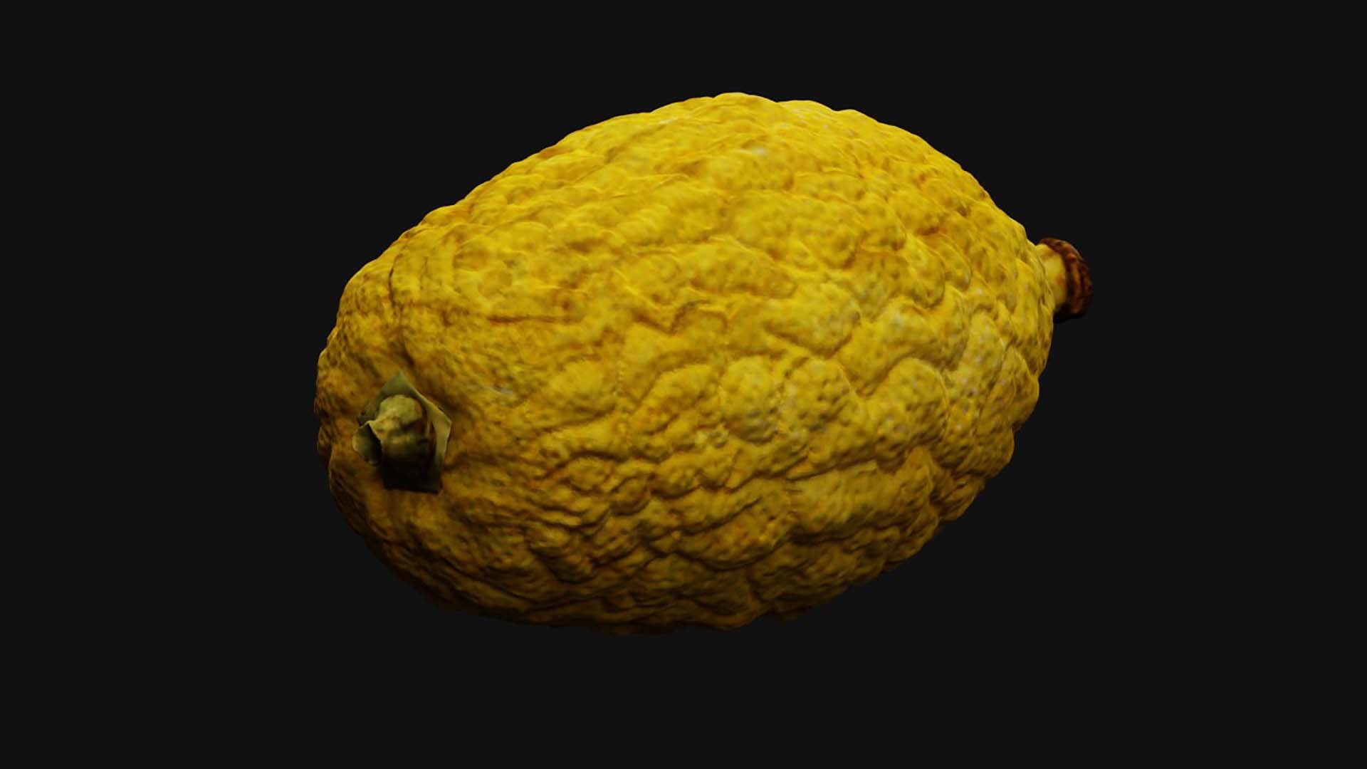 3D Etrog - Citrus Medica Model - TurboSquid 2077200