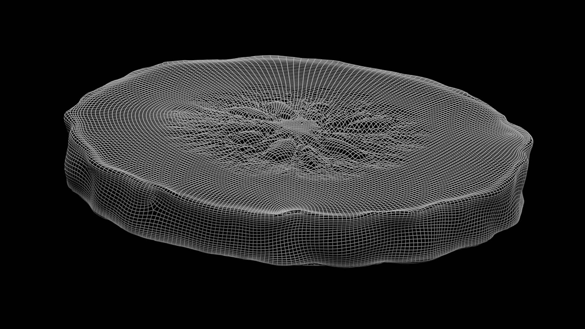 3D Etrog - Citrus Medica Model - TurboSquid 2077200