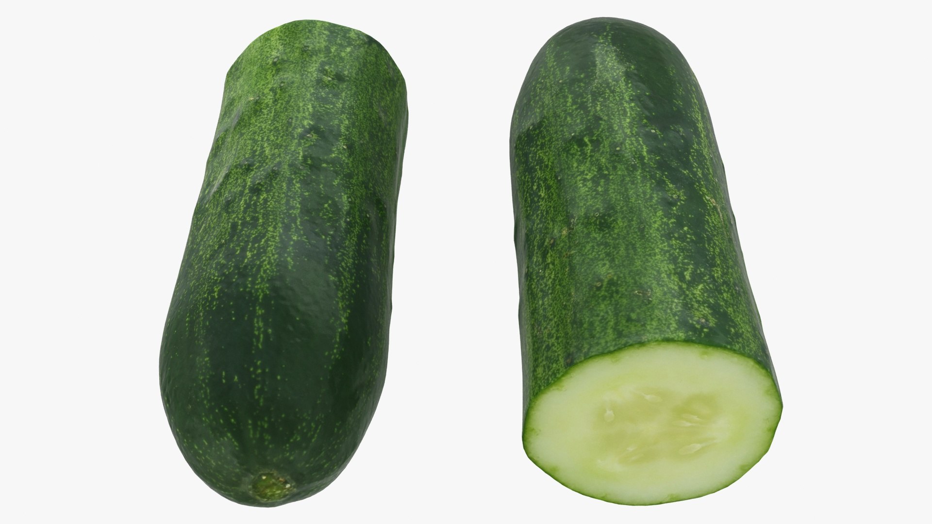 Half cucumber 3D model - TurboSquid 1693285