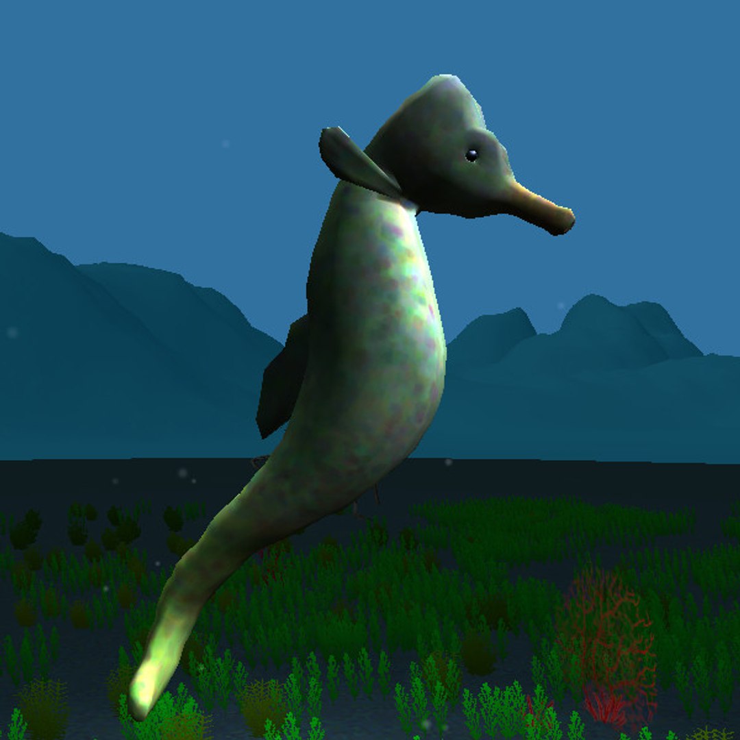 Seahorse Animations X