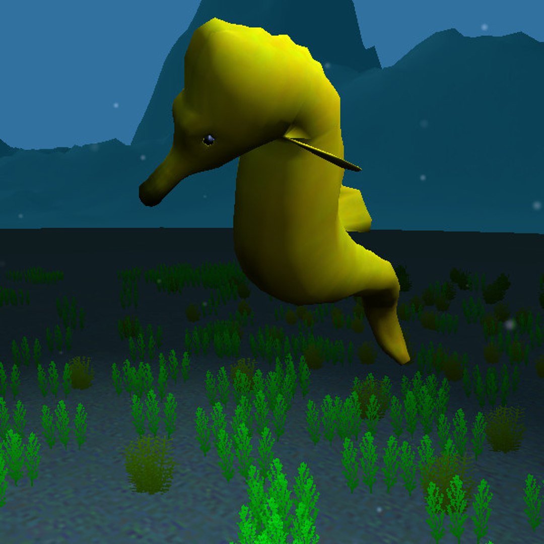 Seahorse Animations X