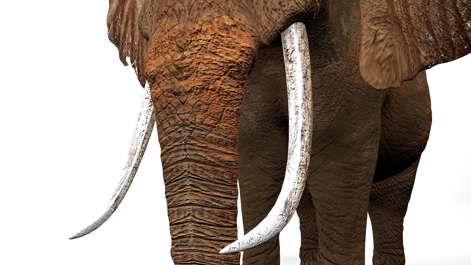 3D African Elephant RIGGED L2355 Model - TurboSquid 2388536