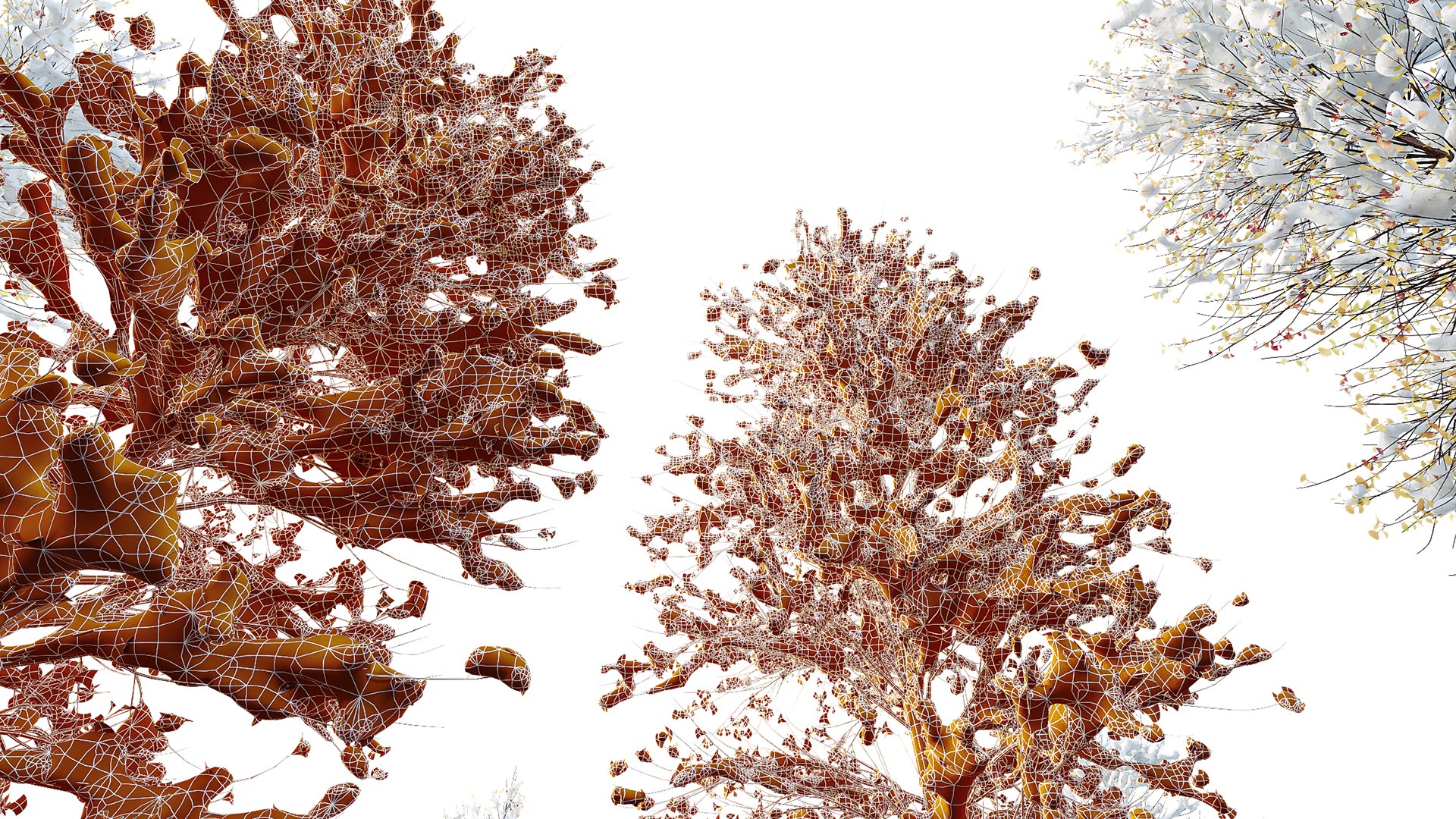 3D AV Plants Maidenhair Tree Ginkgo Biloba Winter Snow Model - TurboSquid 2368167