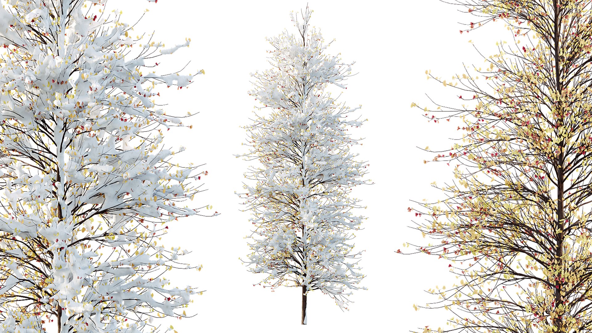 3D AV Plants Maidenhair Tree Ginkgo Biloba Winter Snow Model - TurboSquid 2368167