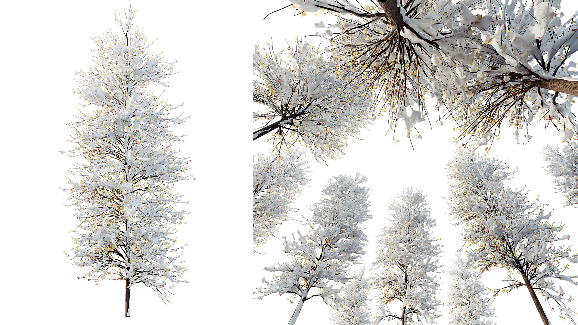 3D AV Plants Maidenhair Tree Ginkgo Biloba Winter Snow Model - TurboSquid 2368167