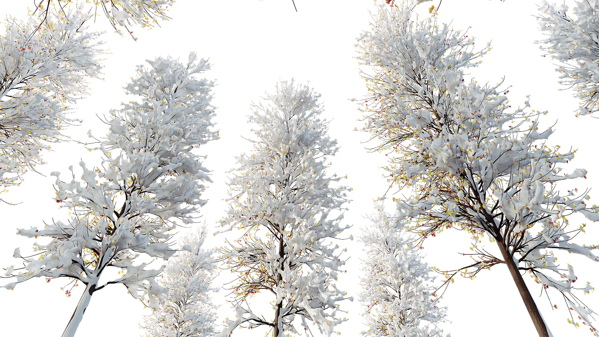 3D AV Plants Maidenhair Tree Ginkgo Biloba Winter Snow Model - TurboSquid 2368167