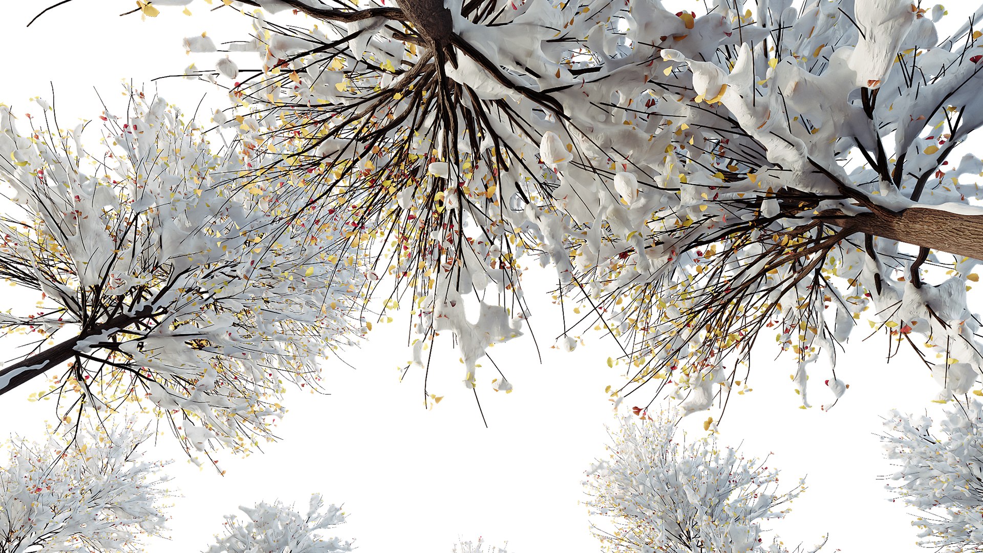 3D AV Plants Maidenhair Tree Ginkgo Biloba Winter Snow Model - TurboSquid 2368167