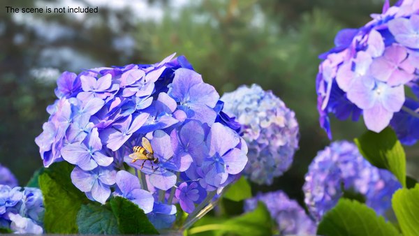 Rigged Honey Bee with Robot Bee Collection for Maya 3D-Modell ...