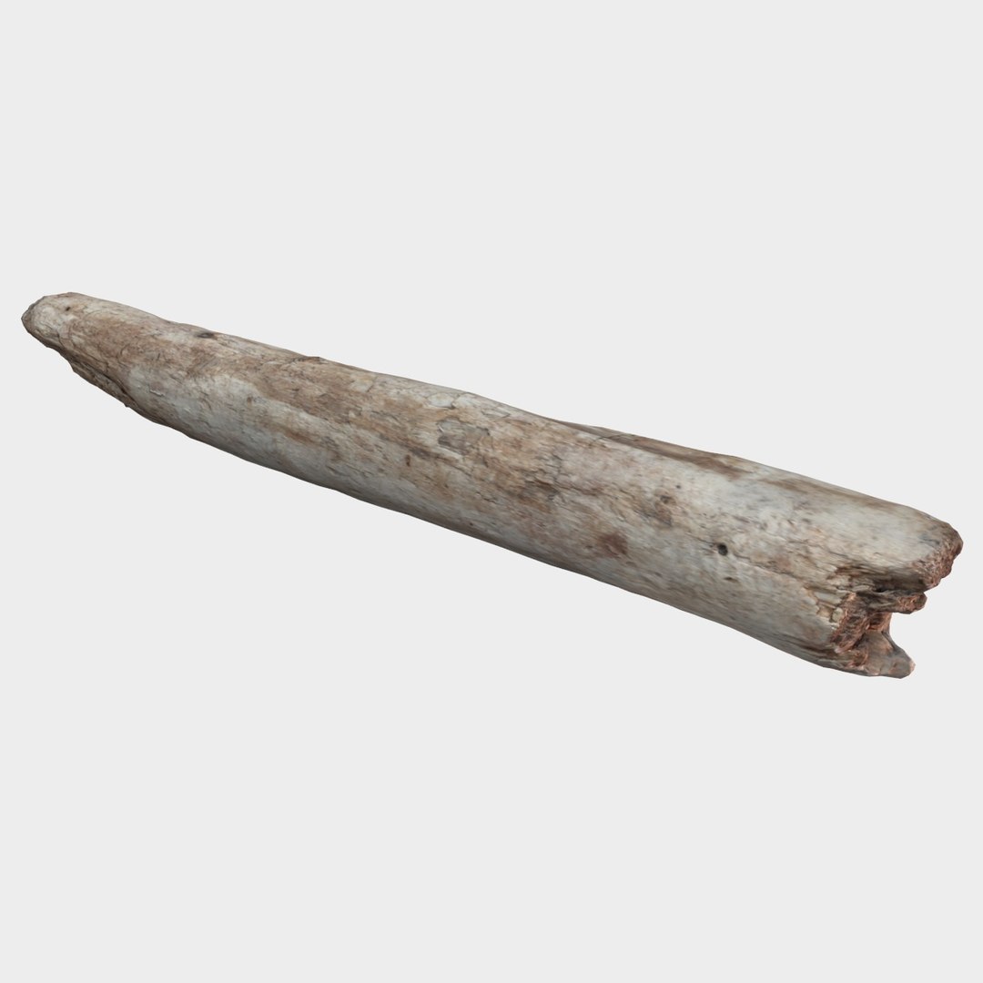 Driftwood log 3D model - TurboSquid 1291082