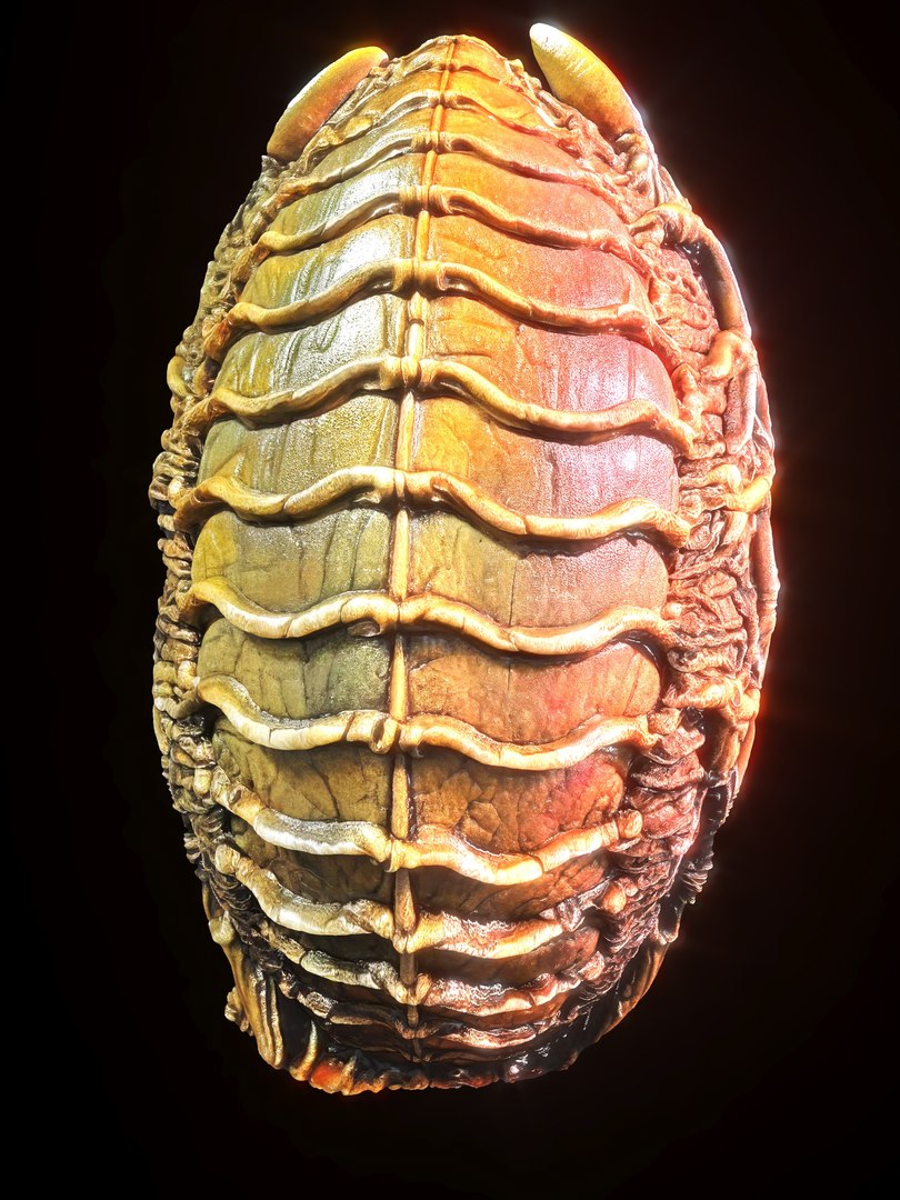 Alien Eggs Life Form Pack 3D model - TurboSquid 2171653