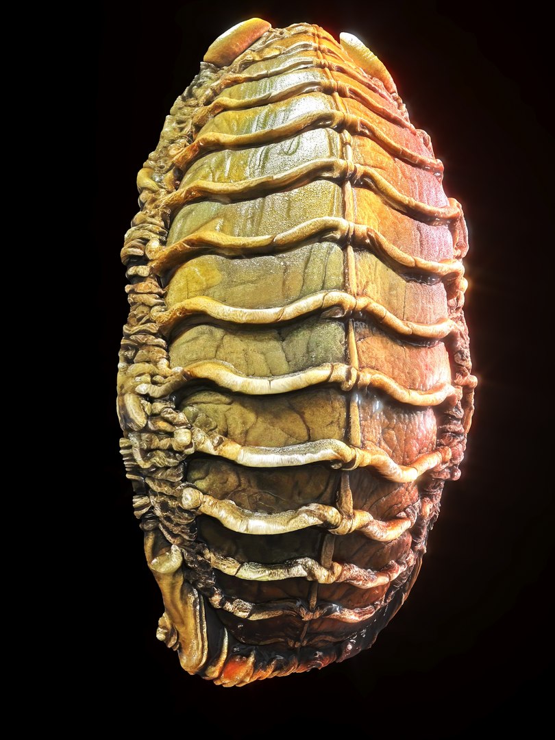 Alien Eggs Life Form Pack 3D model - TurboSquid 2171653