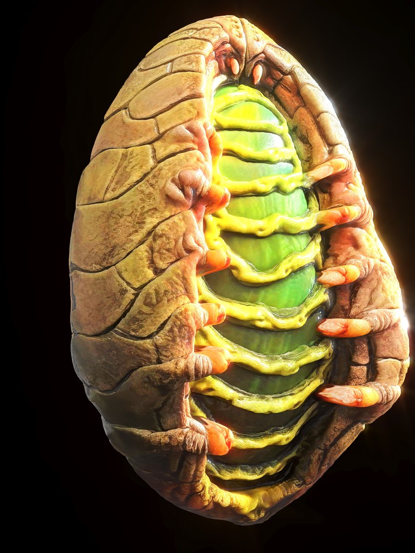 Alien Eggs Life Form Pack 3D model - TurboSquid 2171653