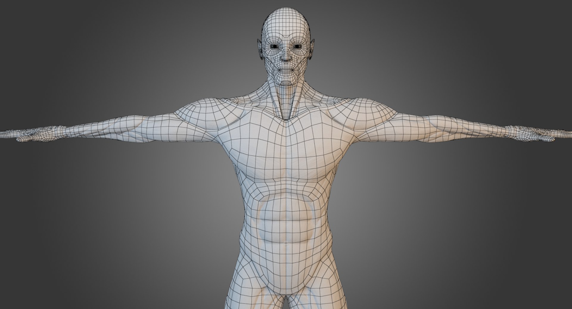 3d Model Human Rigged