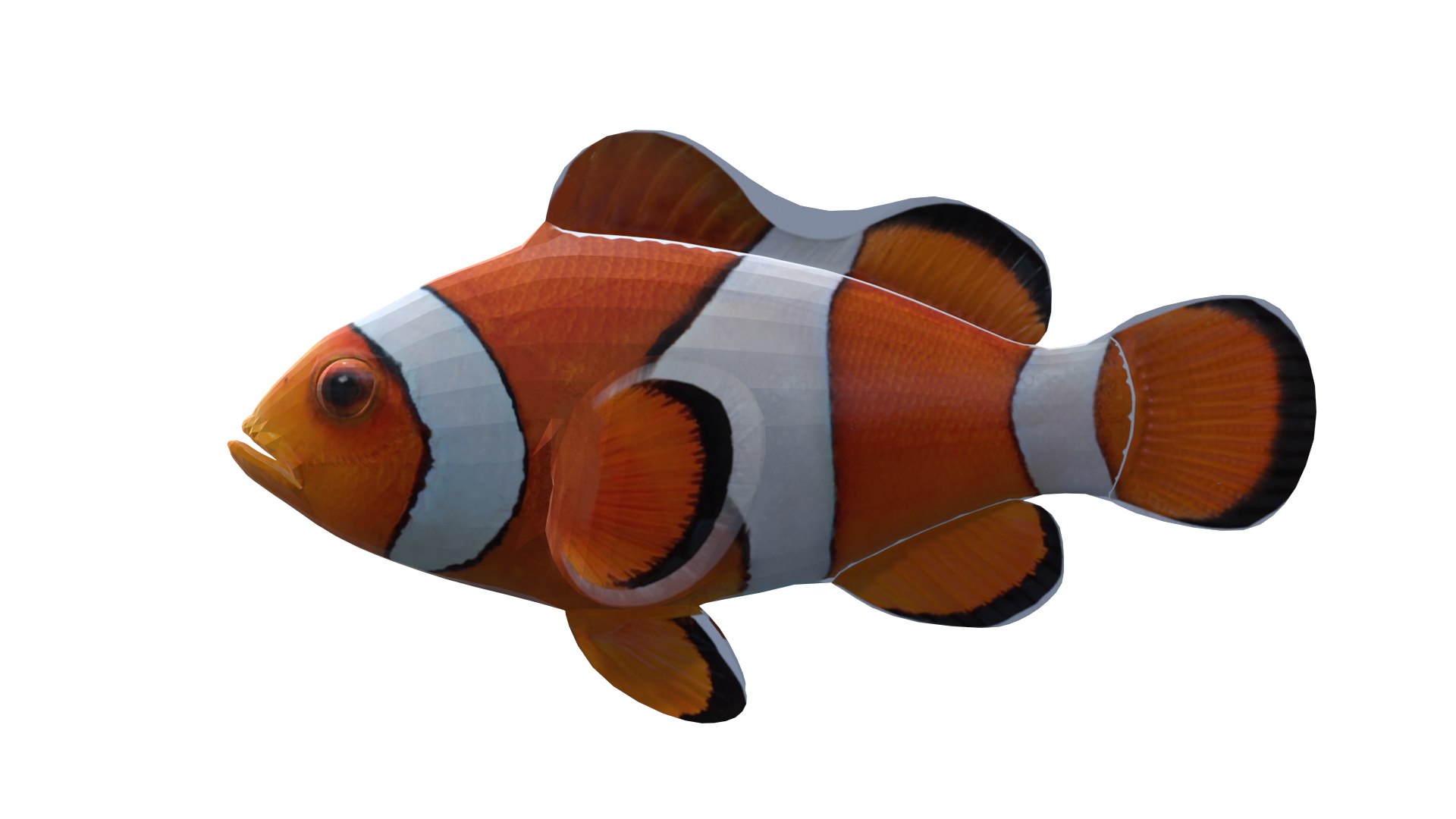 3D Realistic Clown Fish 3D Model - TurboSquid 2313661