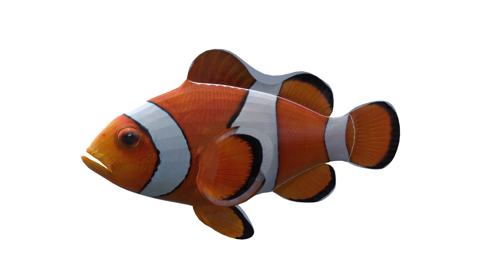3D Realistic Clown Fish 3D Model - TurboSquid 2313661