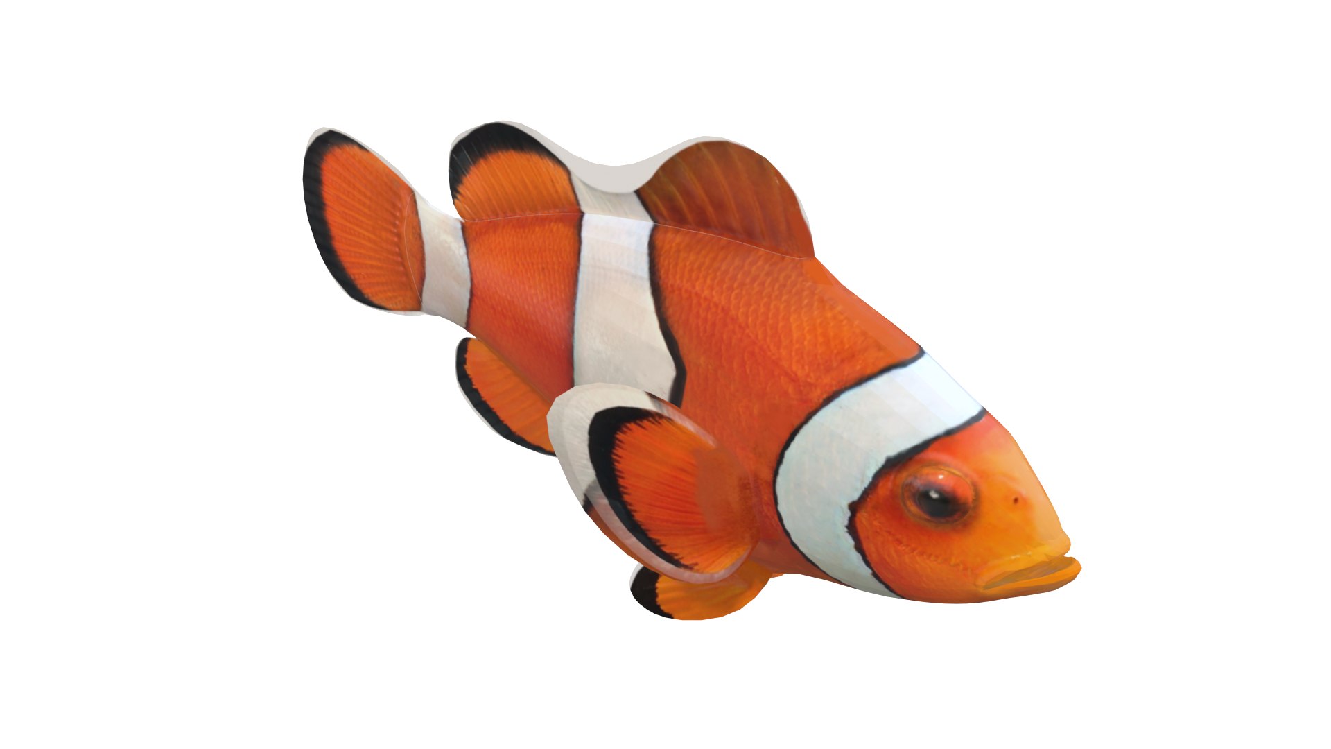 3D Realistic Clown Fish 3D Model - TurboSquid 2313661