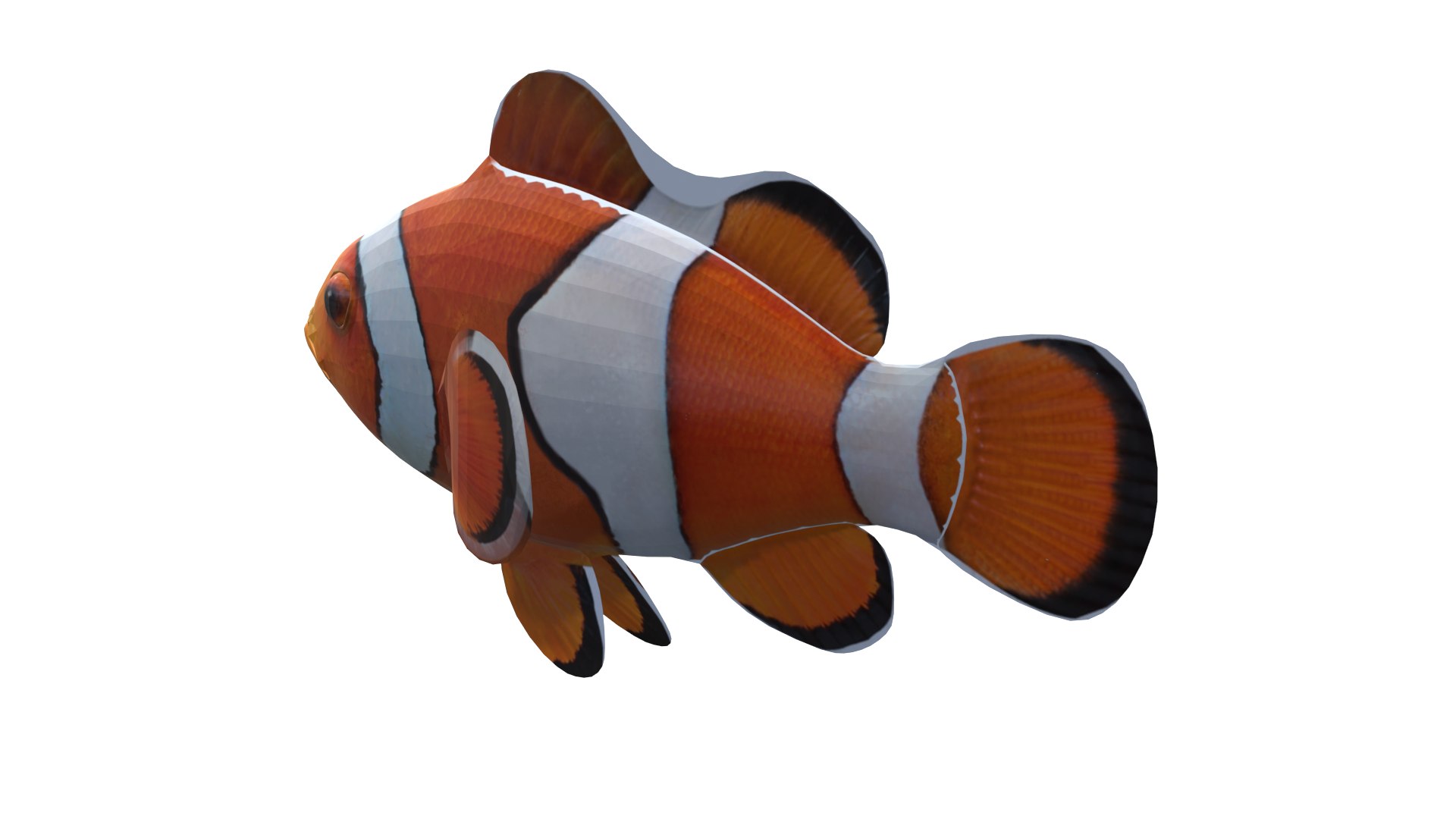 3D Realistic Clown Fish 3D Model - TurboSquid 2313661