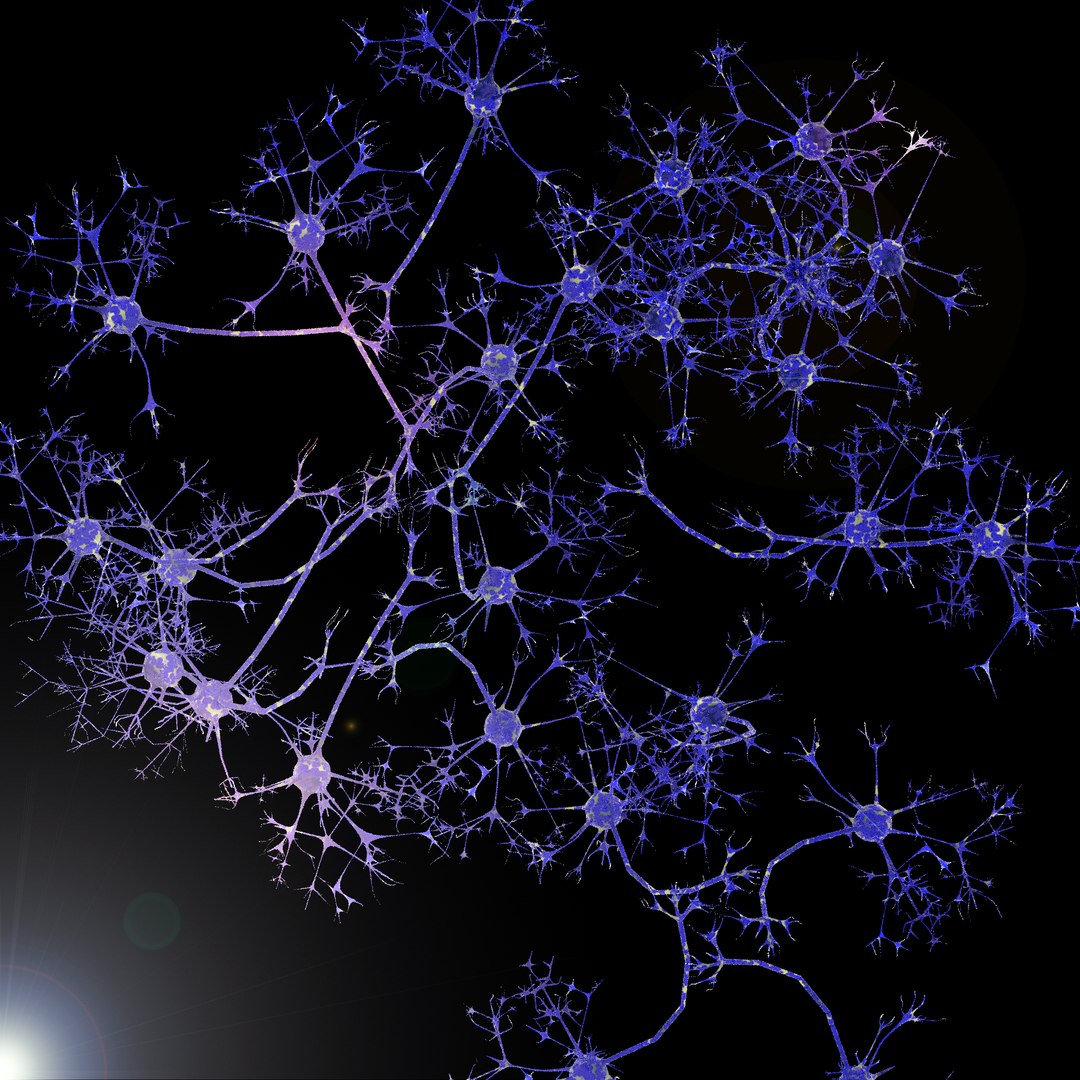 3D neurons model - TurboSquid 1241746