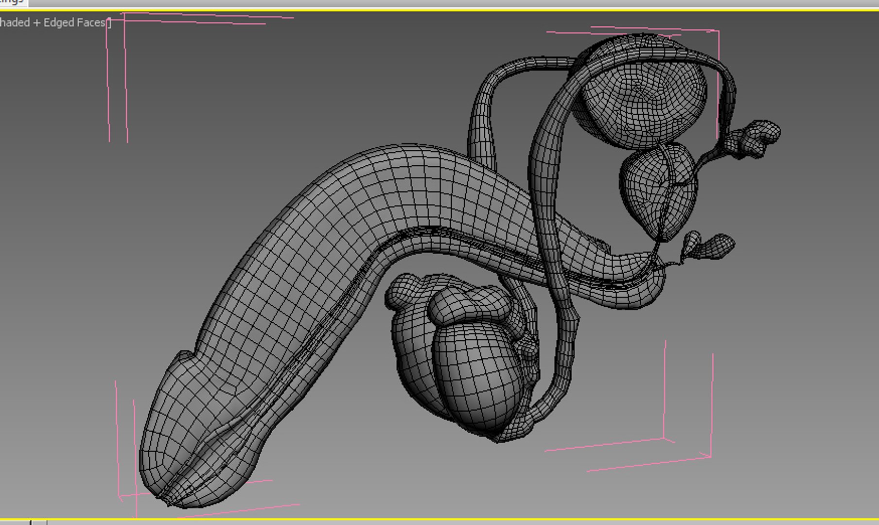 Male Reproductive 3ds