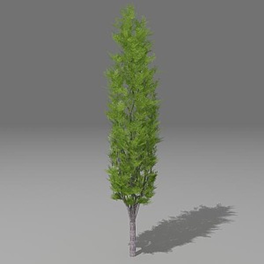 3d tree