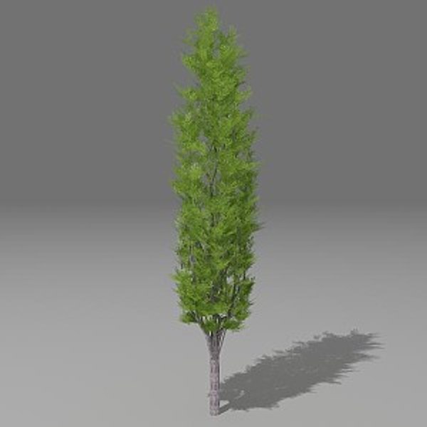 3d tree
