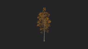 Download Free 3D Tree Maya Models - TurboSquid